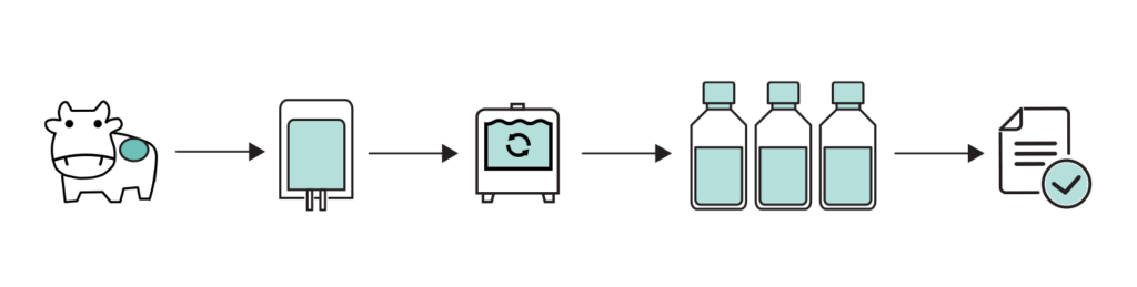 What is fetal bovine serum? – Captivate Bio