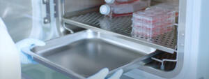 Eagle's Minimum Essential Medium (EMEM) | Cell Culture Media ...